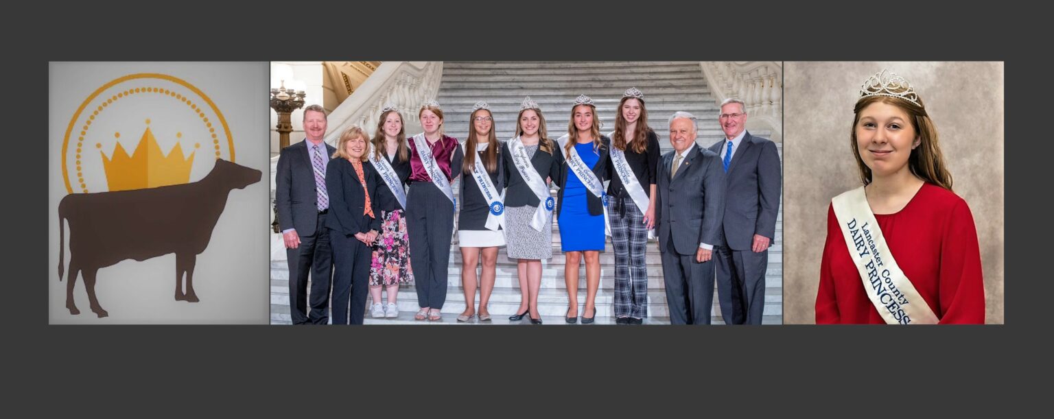Penn Manor junior Kylee Hlavaty named Lancaster County Dairy Princess ...