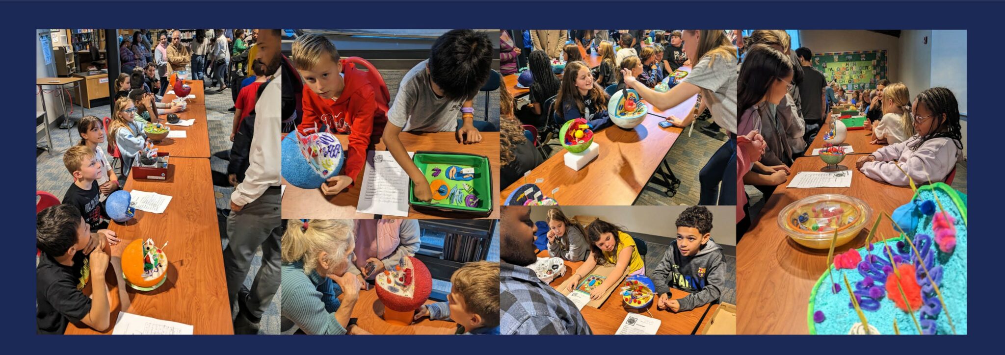 Eshleman hosts ‘Cellebration’ to showcase students’ cell projects ...